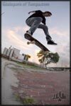 Flyout at Turtle Ditch — Skatepark of Tampa