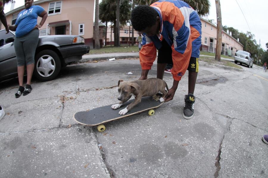 Boards for Bros 2013 — Skatepark of Tampa