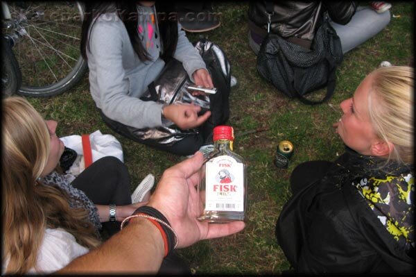 Fisk Shot — Skatepark of Tampa