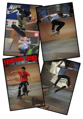 Element's Make It Count Contest Photos — Skatepark of Tampa