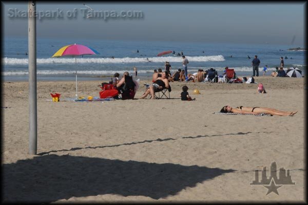 The Beach Across The Loft — Skatepark of Tampa