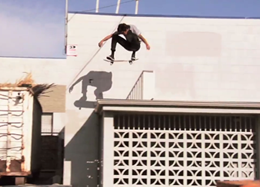 TBT Dylan Rieder - Gravis — Skatepark of Tampa