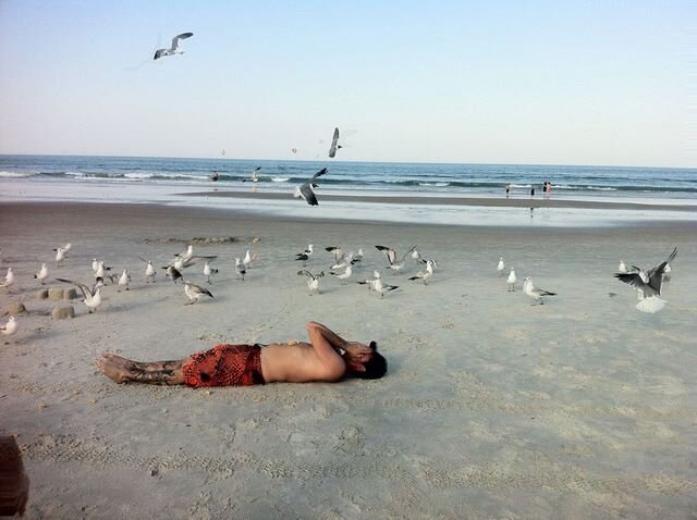 Seagull sacrifice - watch the poop face — Skatepark of Tampa