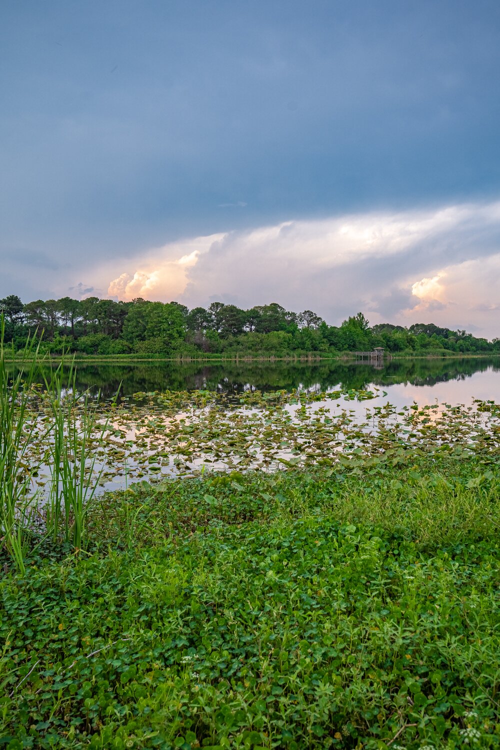 Florida Groves Fest 2023 — Skatepark of Tampa