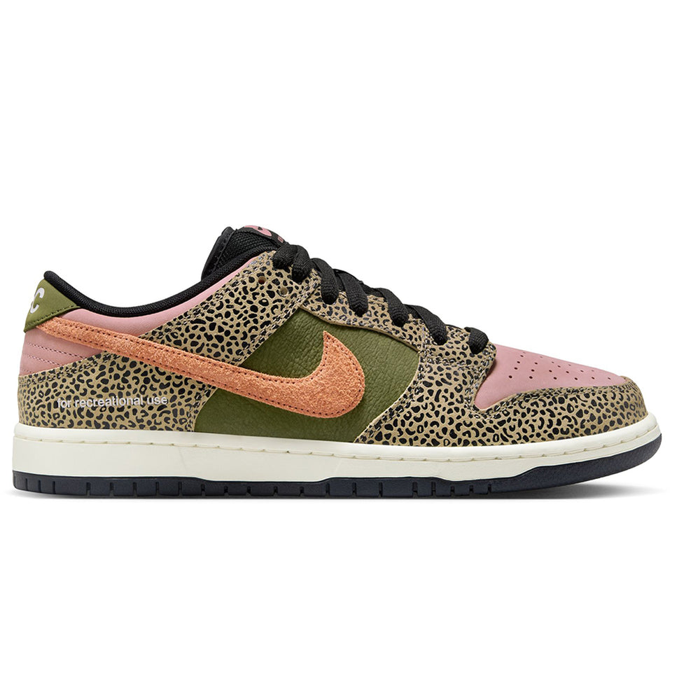 Nike SB Dunk Low Pro Arts And Rec QS Shoes — Skatepark of Tampa