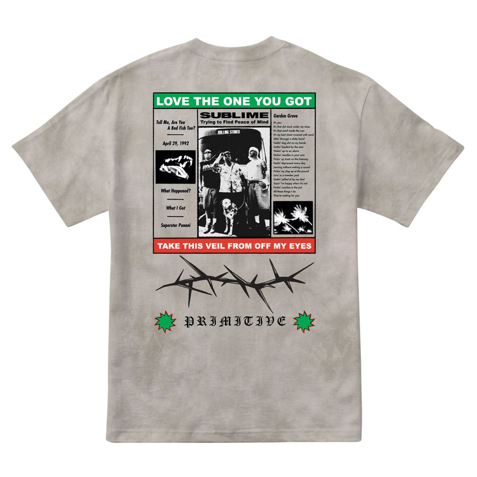 Primitive Skateboarding Sublime Zine Heavyweight T Shirt — Skatepark of ...